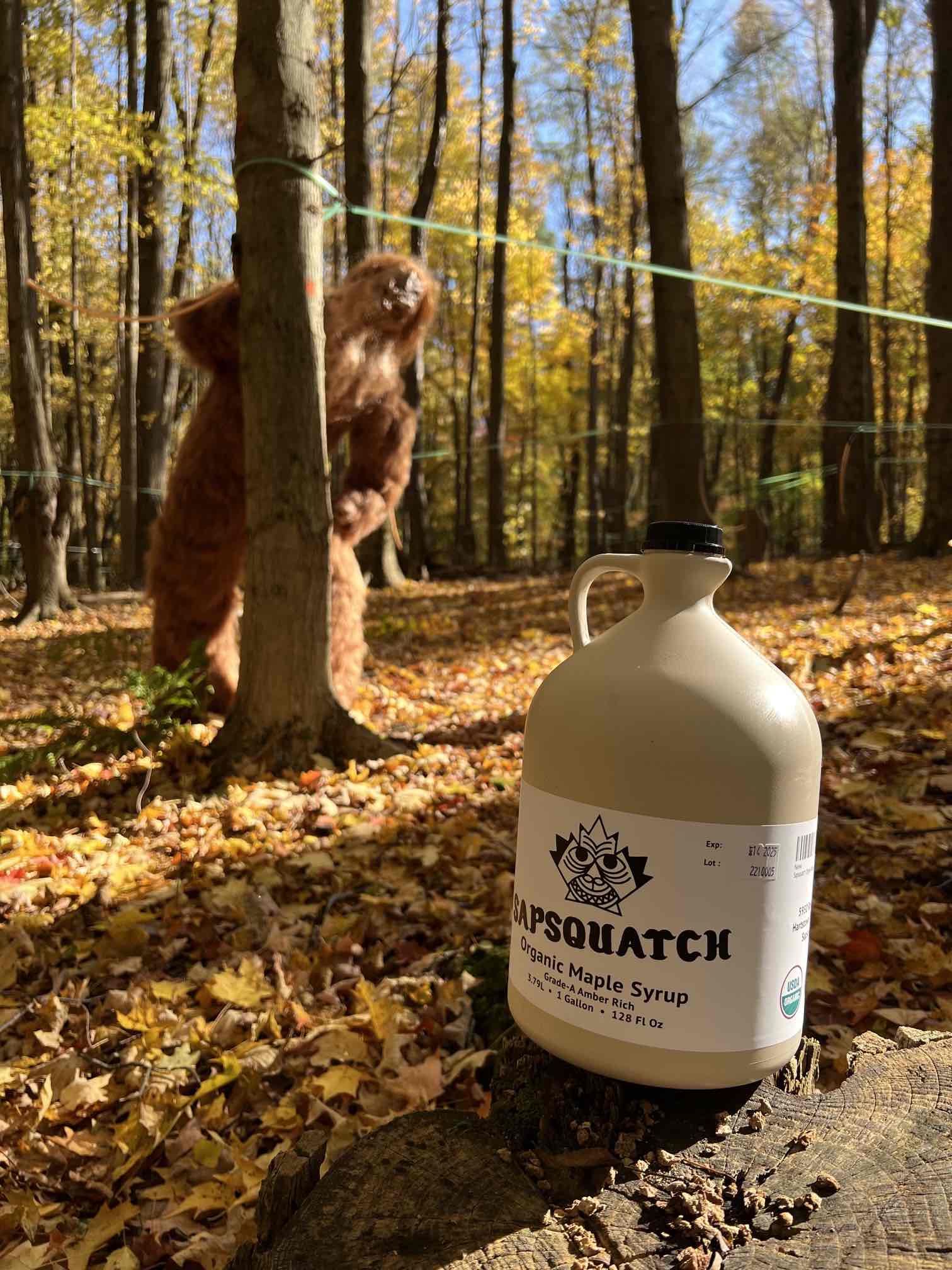 Gallery – Sapsquatch Organic Maple Syrup